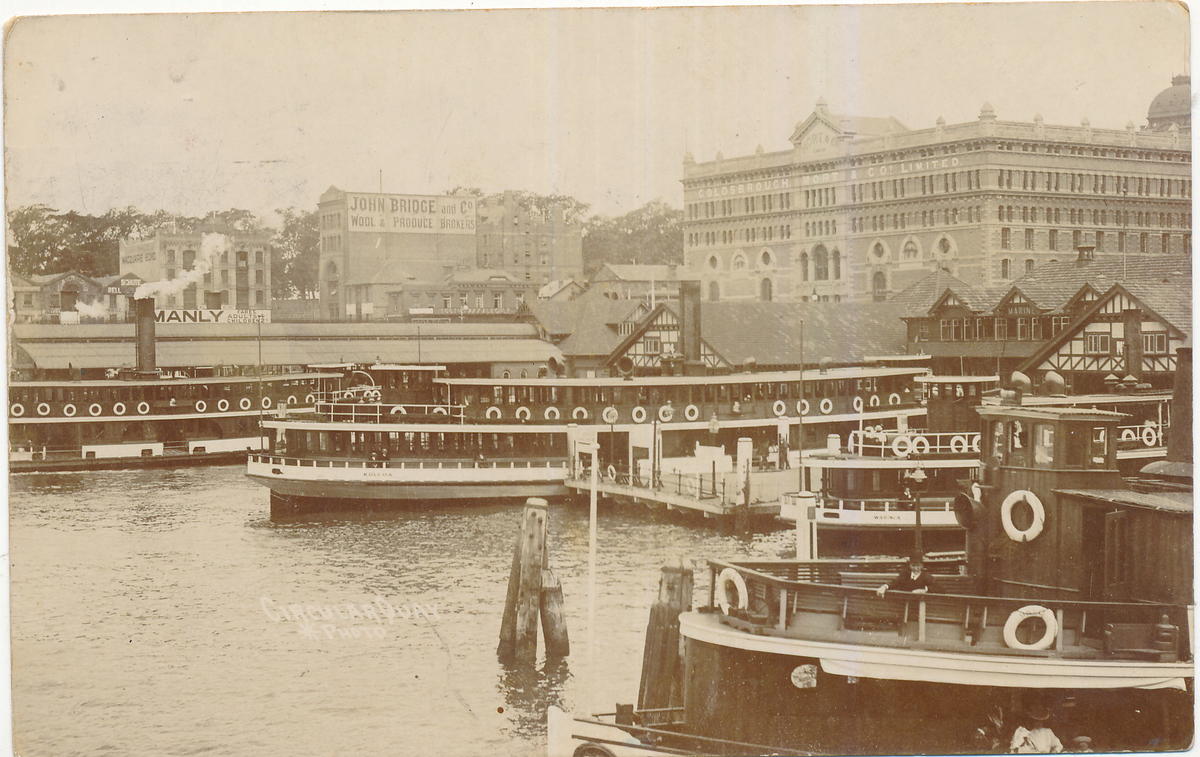 Postcard: Sydney Ferries - Centre for Gold Rush Collections