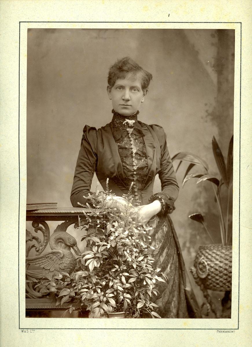 Photograph, Alice Anne Cornwell (Madame Midas), 1883-1891 - Centre for ...